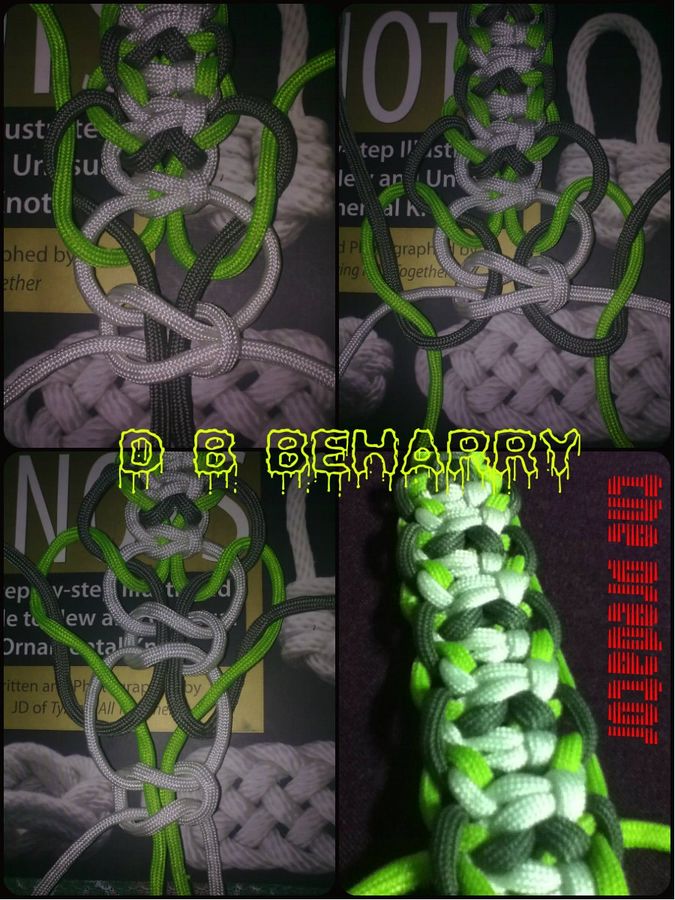 File:The Predator.jpg - ParaCord Archive