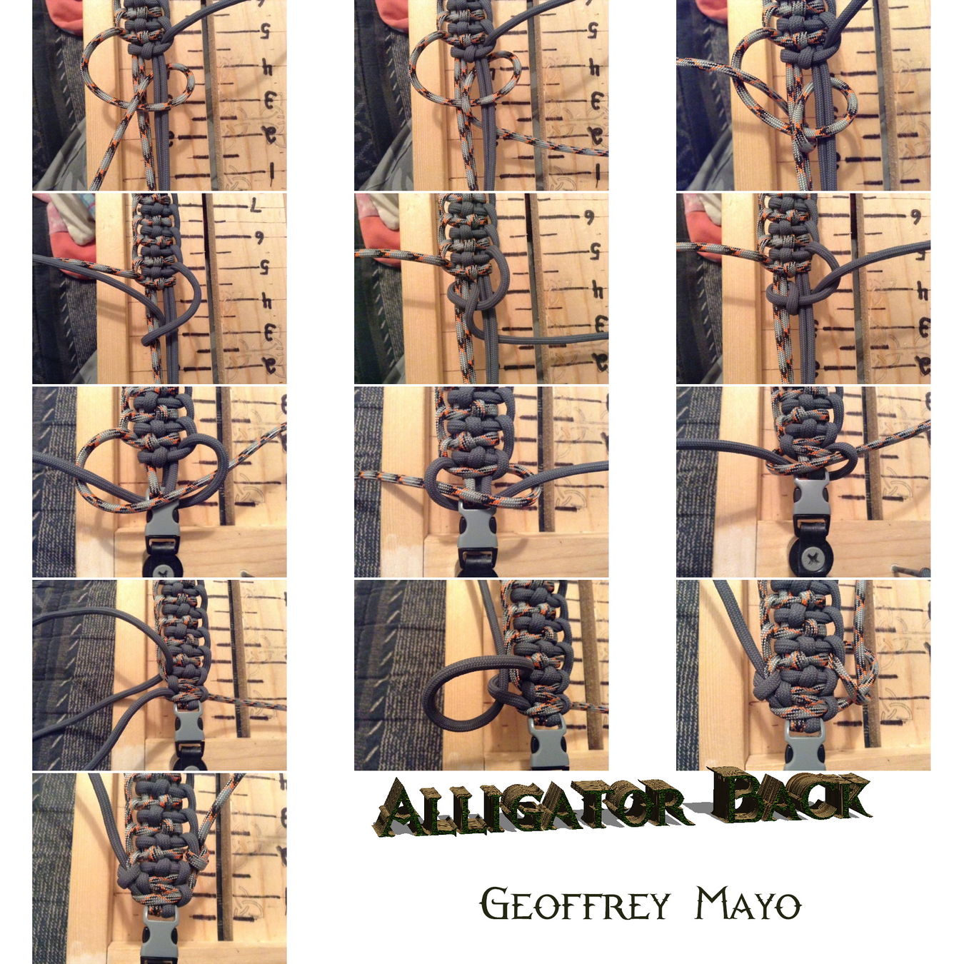 Alligator Back - ParaCord Archive